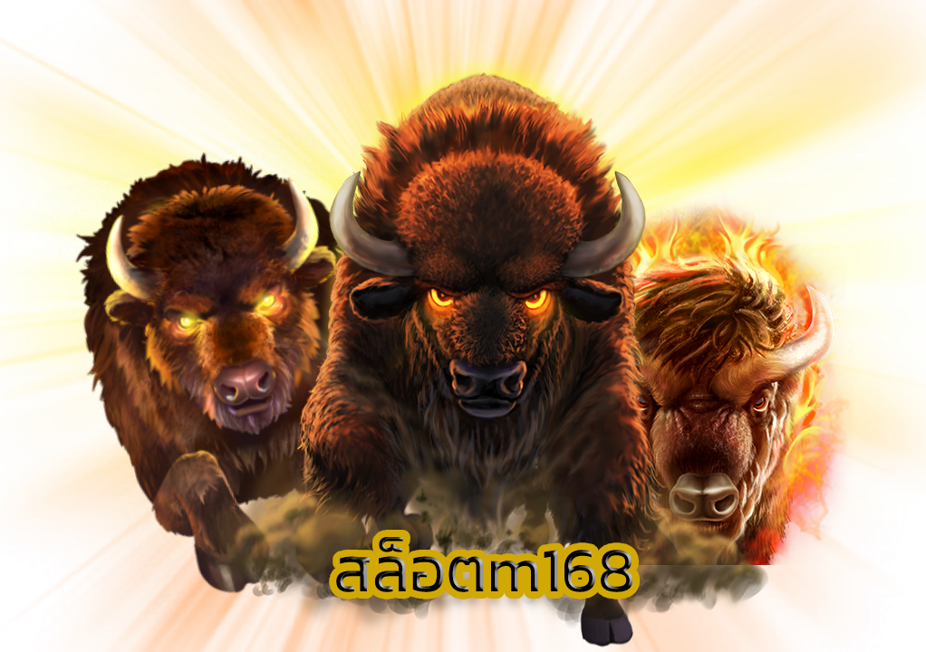 M168 iwallet link – m168