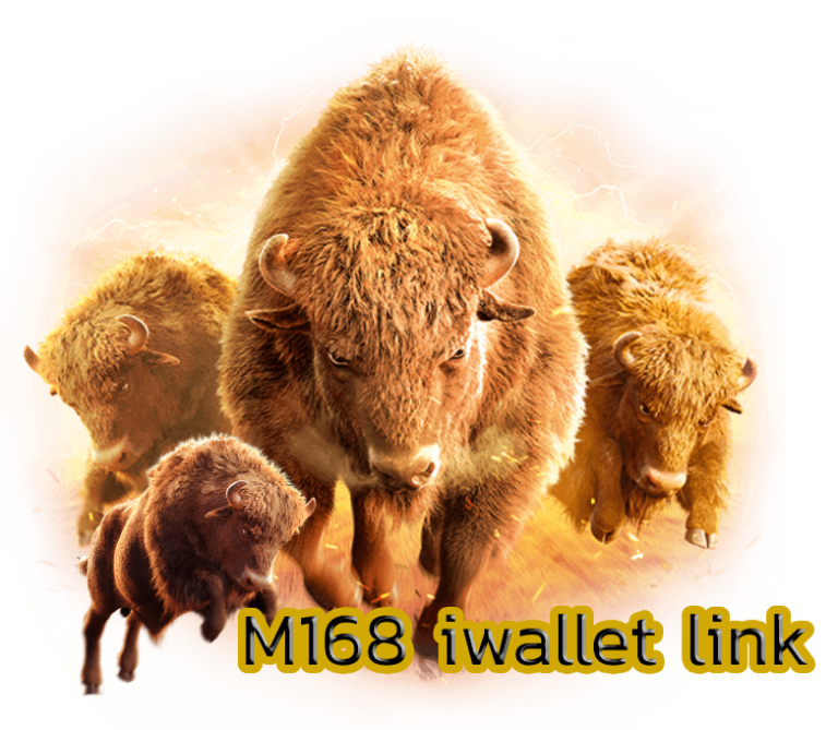 m168 – Official Website